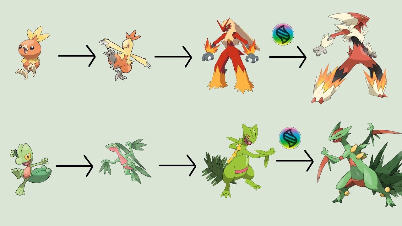 Cách Sử Dụng Mega Stone Để Tiến Hóa Mega Trong Pokémon